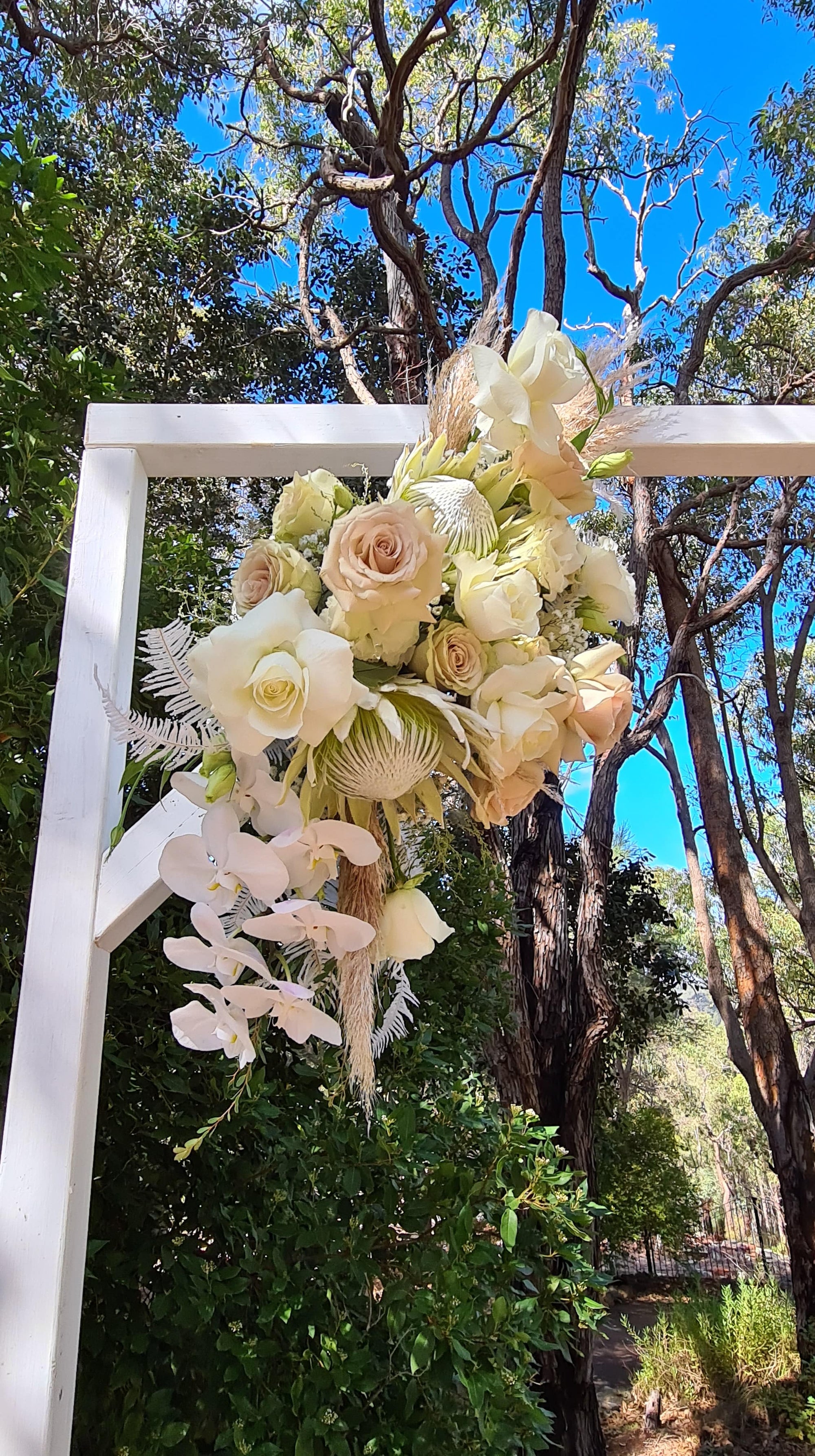 Weddings & Events – Hills Botanic